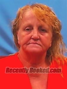 Recent Booking / Mugshot for Michelle Doreen Jackson in Yell County ...