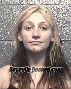 Recent Booking / Mugshot for DESIREE ANN FOWLER in Danville County ...