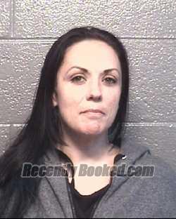Recent Booking / Mugshot for SARAH ANN MCLEAN in Danville County, Virginia