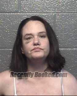 CHRISTIE DAWN FALLEN Arrest Record & Booking Info – Danville County ...