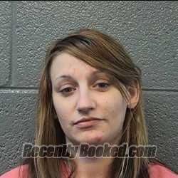 Recent Booking / Mugshot for DESIREE ANN FOWLER in Danville County ...