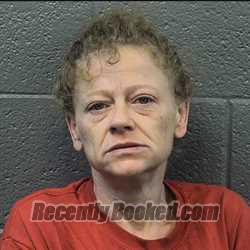 Recent Booking / Mugshot for LAURA LYNN STOKES in Danville County, Virginia