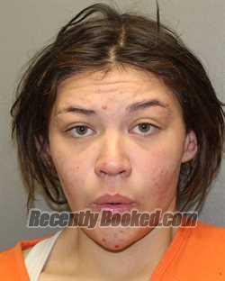 Recent Booking / Mugshot for HEATHER ELIZABETH CRISP in Hockley County ...