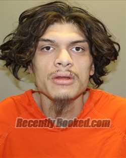 Recent Booking / Mugshot for FRANCISCO JAVIER RODRIGUEZ in Hockley ...