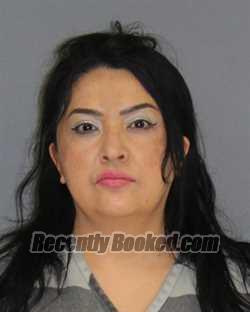 Recent Booking / Mugshot for MICHELLE REY GUIDRY in Hopkins County, Texas