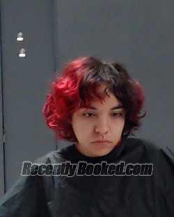 Recent Booking / Mugshot for AISLYNN ELISE DECKER in Hunt County, Texas