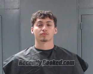 ANDREW LYNN GARZA Arrest Record & Booking Info – Hunt County, Texas ...