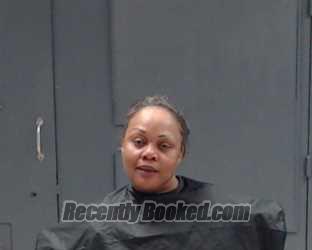 Recent Booking / Mugshot for SHANDA YARNELL PERKINS in Hunt County, Texas