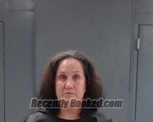 ANNA MARIE WILSON Arrest Record & Booking Info – Hunt County, Texas ...