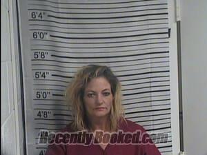Recent Booking / Mugshot for CAMI LEIGH ELLISON in Hutchinson County, Texas