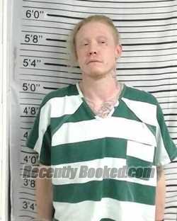 Recent Booking / Mugshot for DUSTIN ANTHONY ENGLER in Hutchinson County ...