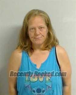 Recent Booking / Mugshot for Christina Michelle Cook in Hutchinson ...