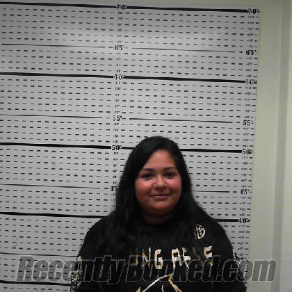 Recent Booking / Mugshot for LYSTRA RENEE SOLIZ in Jim Wells County, Texas