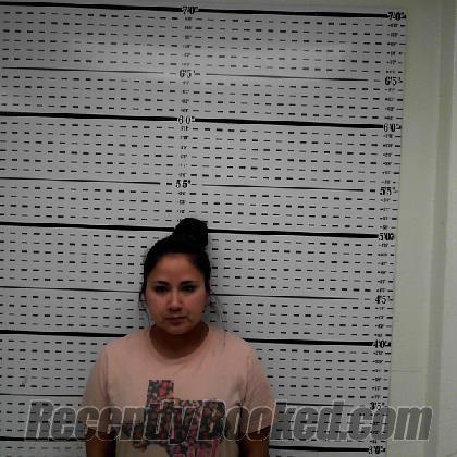 Recent Booking / Mugshot for EVELYN LYNN CANO in Jim Wells County, Texas