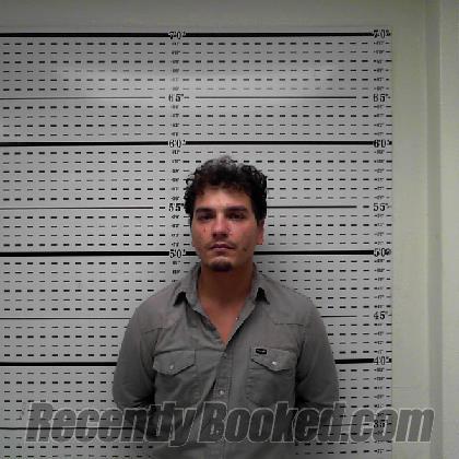 Recent Booking / Mugshot for ADAM VILLARREAL in Jim Wells County, Texas