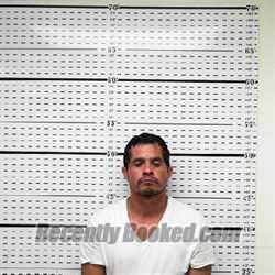 Recent Booking / Mugshot for CHRISTOPHER ROSS CASTILLO in Jim Wells ...