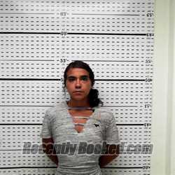 Recent Booking / Mugshot for MIRANDA GARCIA in Jim Wells County, Texas