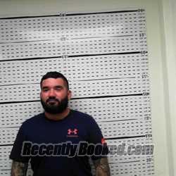 Recent Booking / Mugshot for ADAM RAMON ALANIZ in Jim Wells County, Texas