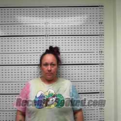 Recent Booking / Mugshot for ASHLEY NAVARRO in Jim Wells County, Texas