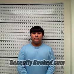 Recent Booking / Mugshot for MARIO JESUS ALANIZ in Jim Wells County, Texas