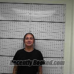 Recent Booking / Mugshot for KRYSTAL JELINE DIAZ in Jim Wells County, Texas