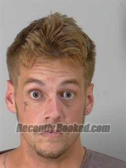 Recent Booking / Mugshot for HENRY ALEXANDER THERRIEN in Lake County ...
