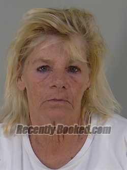 Recent Booking / Mugshot for EILEEN CHANDLER in Lake County, Florida