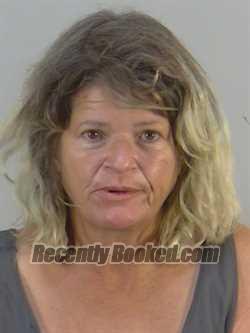 Recent Booking / Mugshot for THERESA ANN WALTON in Lake County, Florida