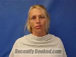 WHITNEY ARNING Arrest Record & Booking Info – Kaufman County, Texas ...