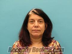 Recent Booking / Mugshot for Sonya McGill in Kendall County, Texas