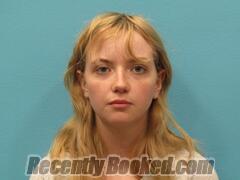 Recent Booking / Mugshot for Reagan Howard in Kendall County, Texas