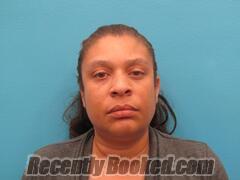 Recent Booking / Mugshot for Joy Ross in Kendall County, Texas