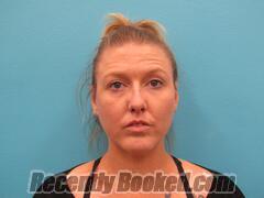 Recent Booking / Mugshot for Melissa Foley in Kendall County, Texas