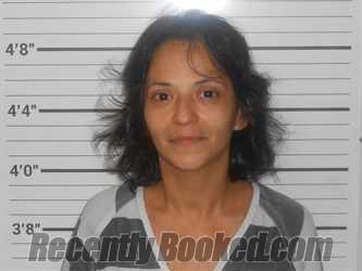 Recent Booking / Mugshot for Cassandra Elisa Palacio in Kerr County, Texas