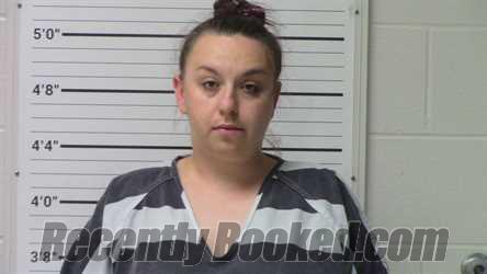 Recent Booking / Mugshot for Cheyenne Lynnette Hayes in Kerr County, Texas