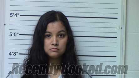 Recent Booking / Mugshot for Jazmin Elizabeth Galindo in Kerr County, Texas