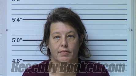 Recent Booking / Mugshot for Sarah Sophia Shirey in Kerr County, Texas