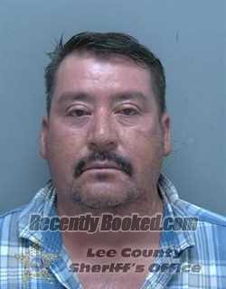 Recent Booking / Mugshot for JORGE BOTELLO LOPEZ in Lee County, Florida