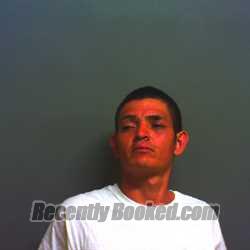 Recent Booking / Mugshot for RENE PONSE in Lee County, Texas