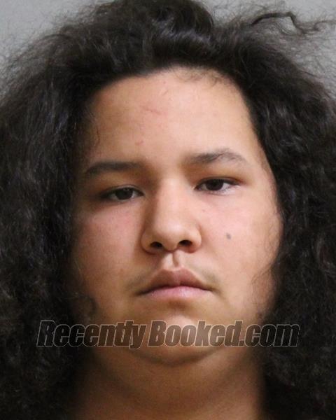 Recent Booking / Mugshot for NELSO ALEXI PABON-LOPEZ in Lee County, Texas