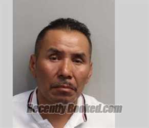 Recent Booking / Mugshot for FELICIANO GABRIEL LOPEZ in Leon County ...