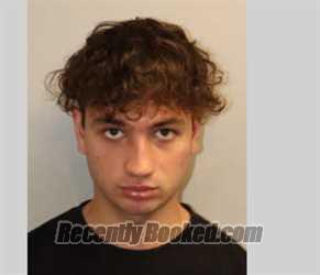 Recent Booking / Mugshot for ALEXANDER RAMON PISIECZKO in Leon County ...