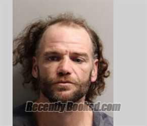 Recent Booking / Mugshot for MICHAEL DAVID LINGO in Leon County, Florida