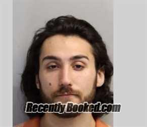 Recent Booking / Mugshot for BRANDON REED JAWHARI in Leon County, Florida