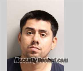 Recent Booking / Mugshot for FREDY BRAVO GALVEZ in Leon County, Florida