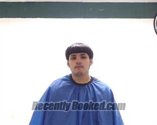 Recent Booking / Mugshot for Hector Alexander Renteria in Liberty ...
