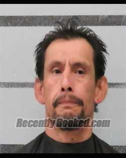 Recent Booking / Mugshot for ROY ALAFA in Lubbock County, Texas