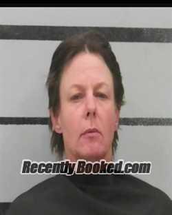 Recent Booking / Mugshot for STEPHANIE DELANO in Lubbock County, Texas