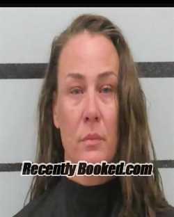 Recent Booking / Mugshot for ERIN MARIE STEPHENSON in Lubbock County, Texas