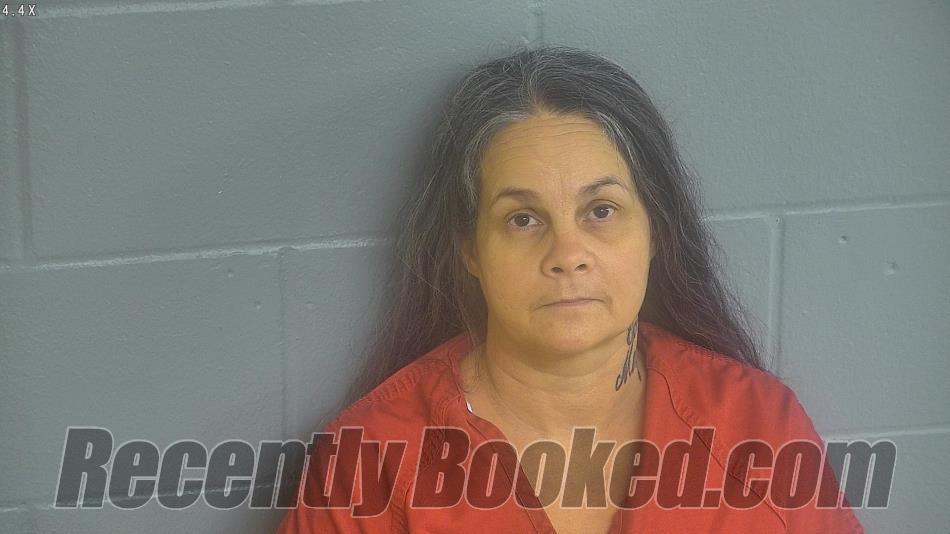 Recent Booking / Mugshot for JULIE ANN SMITH in Levy County, Florida